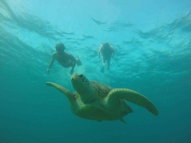 Lombok: 4-Day Sea Nomad Adventure to Labuan Bajo - The Experience on the Water