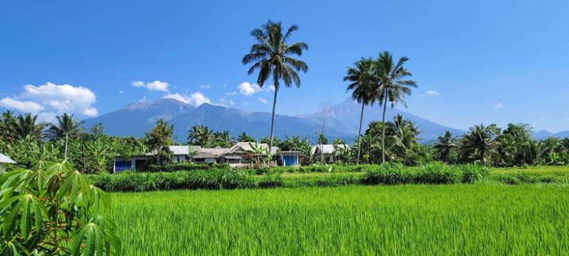 lombok : black monkey , rice terace ,waterfall tetebatu - Key Points