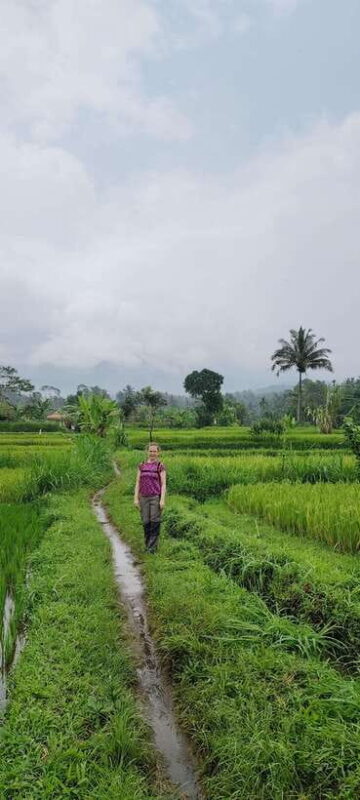 lombok : black monkey , rice terace ,waterfall tetebatu - Who Will Love This Tour?