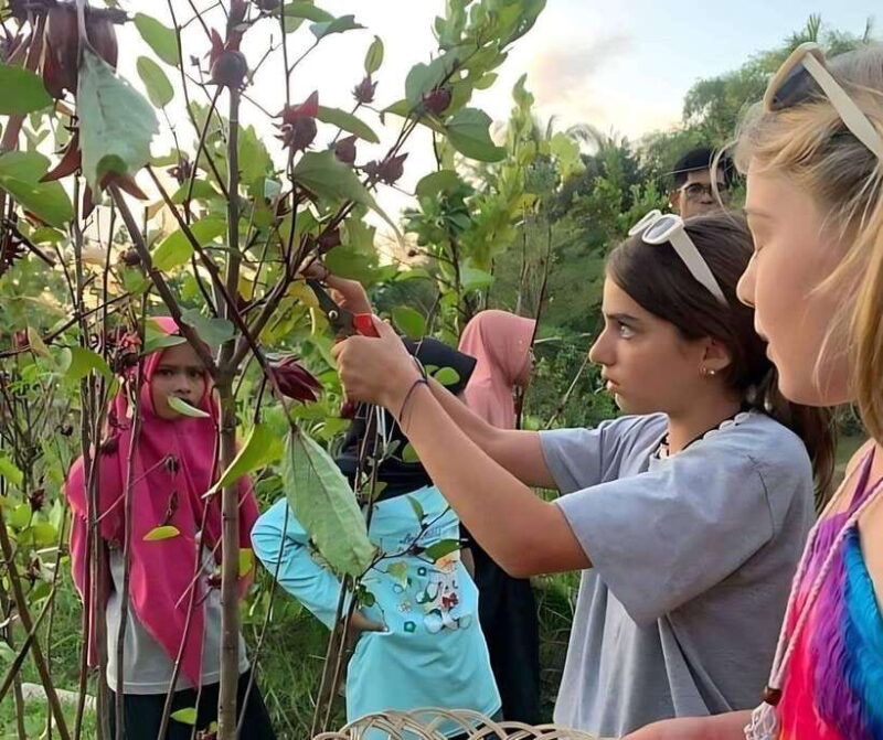 Lombok Bonjeruk Village Biking Tour + City Tour - The Sum Up