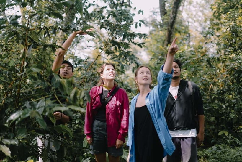 Lombok: Coffee Plantation Tour with Tasting - Who Should Consider This Tour?
