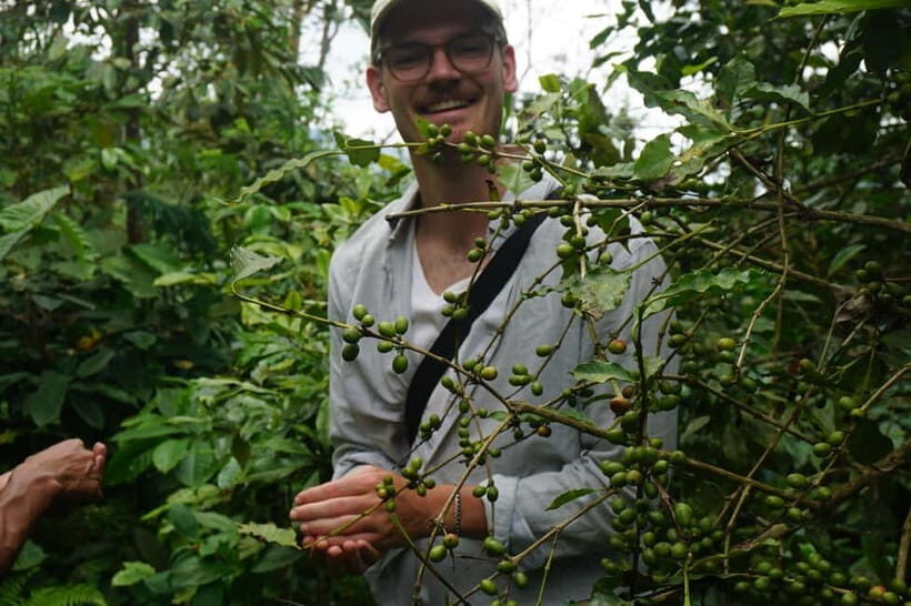 Lombok: Coffee Plantation Tour with Tasting - FAQs about the Lombok Coffee Plantation Tour