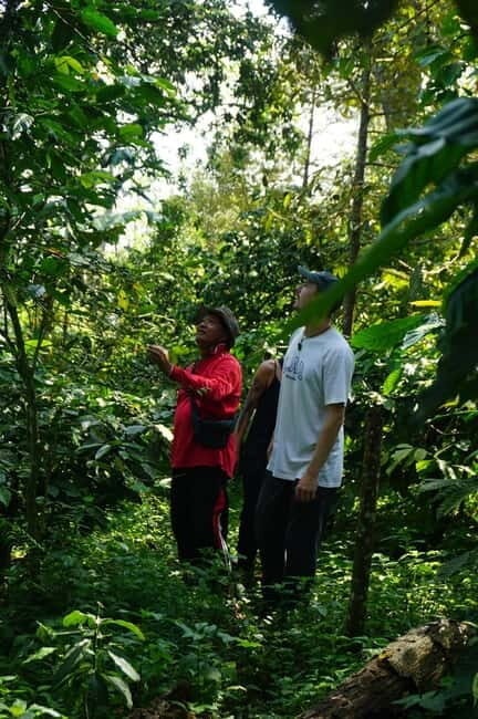Lombok: Coffee Plantation Tour with Tasting - Final Thoughts