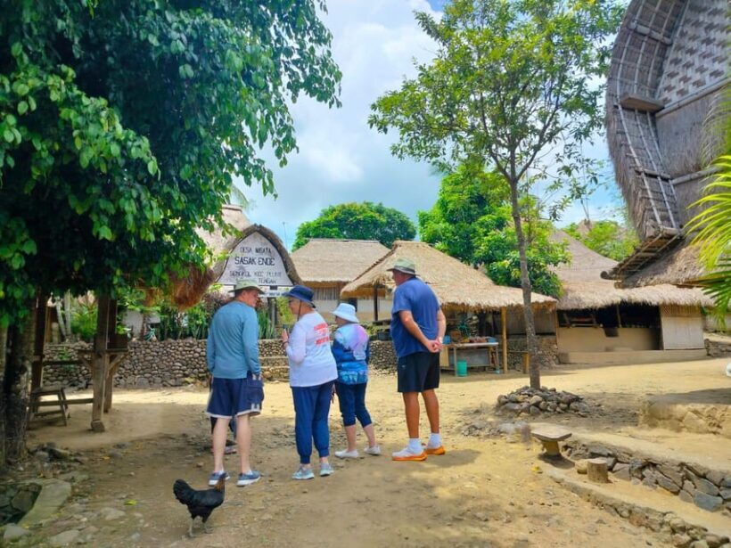 Lombok: Cultural Day Tour & Beach Pickup Cruise Port/Hotel - Who Should Consider This Tour?