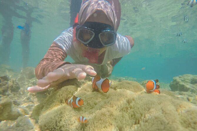 Lombok Customize Tour - What to Expect on Your Customized Day