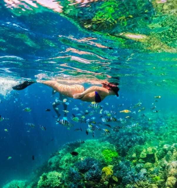 Lombok Day Trip: Gili Nanggu Snorkeling trip - FAQ