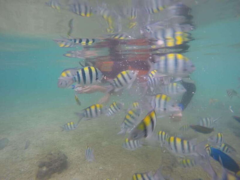 Lombok: Gili Islands Boat Trip with Snorkeling - Key Points