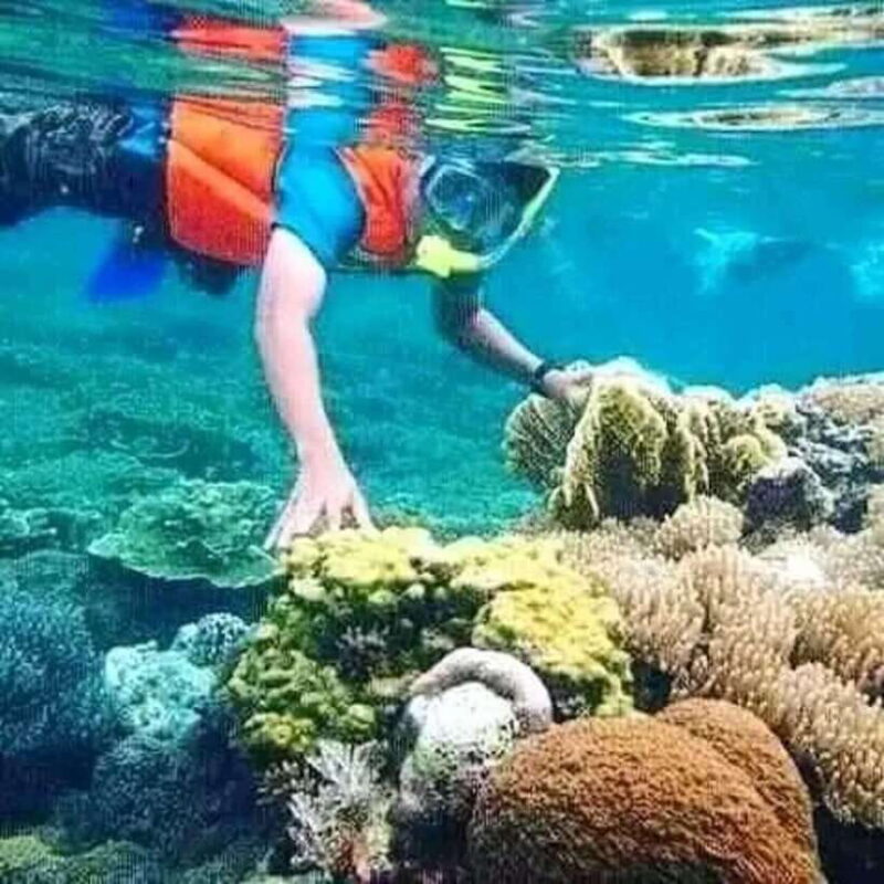 Lombok: Gili Islands Glass Bottom Boat Tour with Snorkeling - Key Points