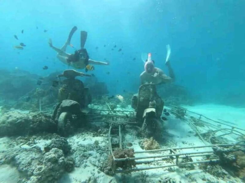 Lombok : Gili Islands Private Snorkeling Tour - What To Expect in Terms of Logistics and Comfort