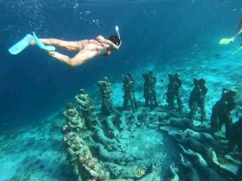 Lombok : Gili Islands Private Snorkeling Tour - The Value Proposition