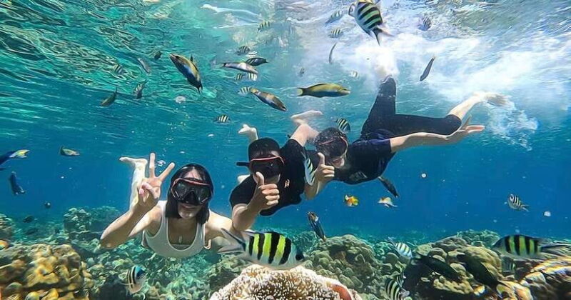 Lombok: Gili Kondo, Petagan, dan kapal Snorkeling Tour - Key Points