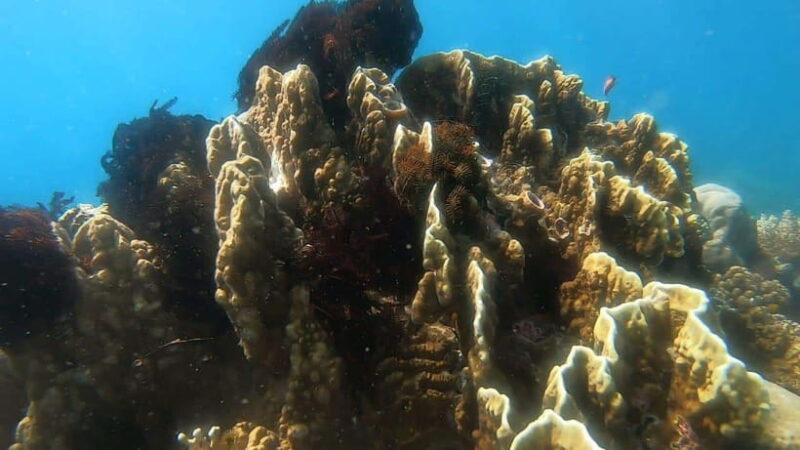 Lombok: Gili Nanggu, Kedis, and Sudak Islands Boat Tour - Who Should Consider This Tour?