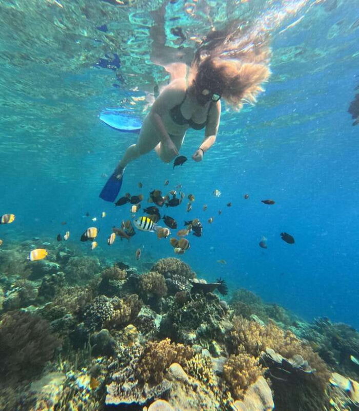 Lombok: Gili Nanggu, Sudak, and Kedis Snorkeling Tour - Key Points