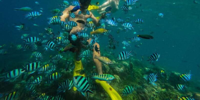 Lombok: Gili Nanggu, Sudak, & Gili Kedis Private Snorkeling - A Detailed Breakdown of the Itinerary