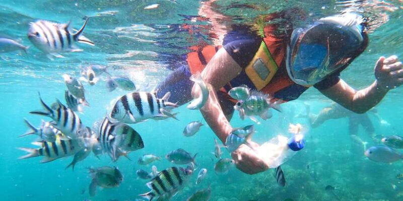 Lombok: Gili Nanggu, Sudak, & Gili Kedis Private Snorkeling - What Sets This Tour Apart?