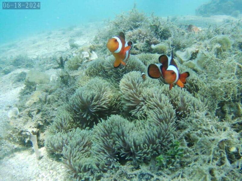 Lombok: Gili Nanggu, Tangkong, Sudak, and Kedis Islands Tour - What Makes This Tour Stand Out?