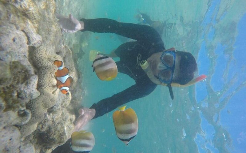 Lombok: Gili Nanggu, Tangkong, Sudak, and Kedis Islands Tour - Who Will Love This Tour?