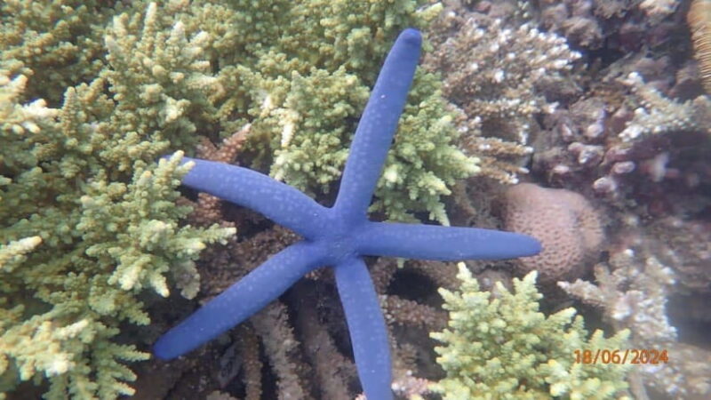 Lombok: Gili Nanggu, Tangkong, Sudak, and Kedis Islands Tour - Final Thoughts