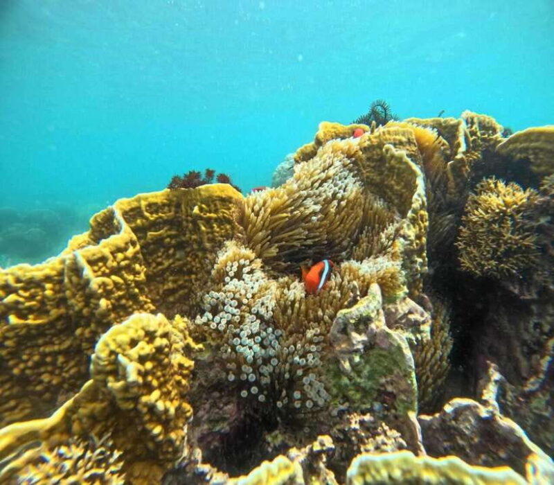 Lombok: Gili Rengit, Gili Gede, and Gili Layar Island Tour - Final Thoughts: Is It the Right Tour for You?