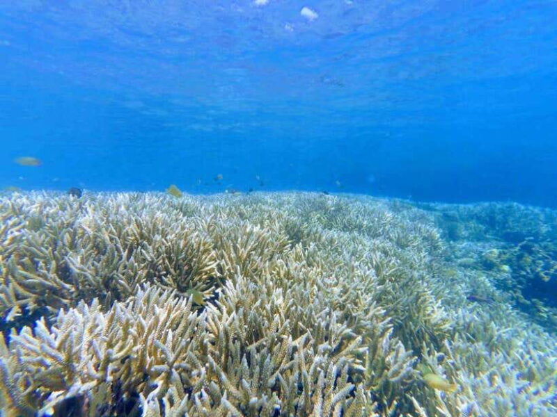 Lombok: Gili Rengit, Gili Gede, and Gili Layar Island Tour - FAQs