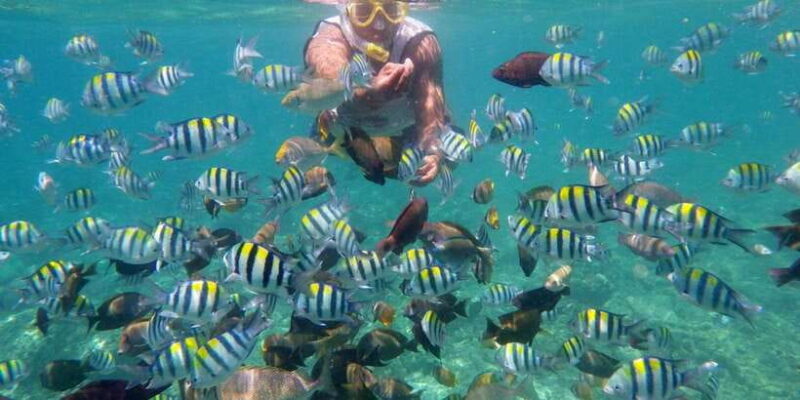 Lombok: Gili Trawangan, Meno, Air Snorkeling Trip - Key Points