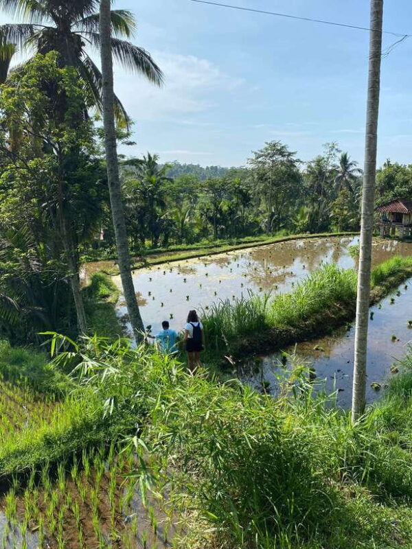 Lombok Hidden Gem - The Scenic Route and Village Life