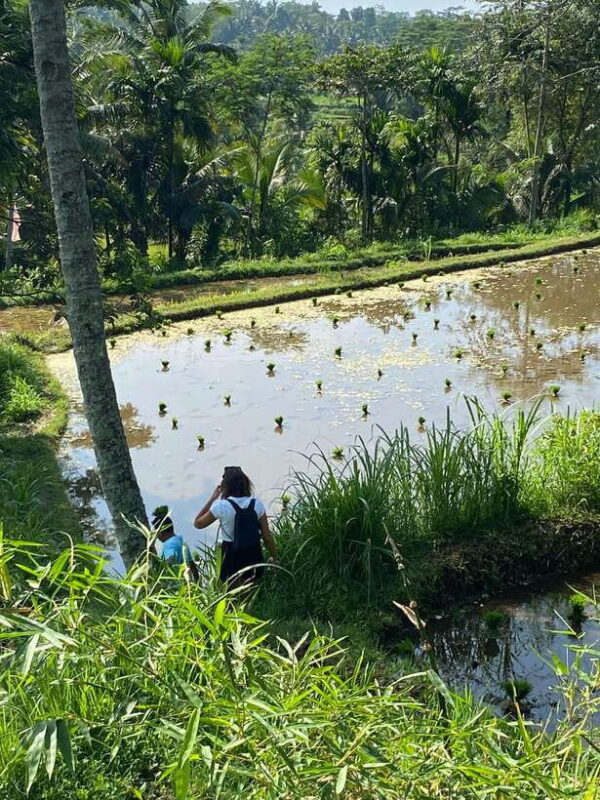 Lombok Hidden Gem - What Reviewers Say