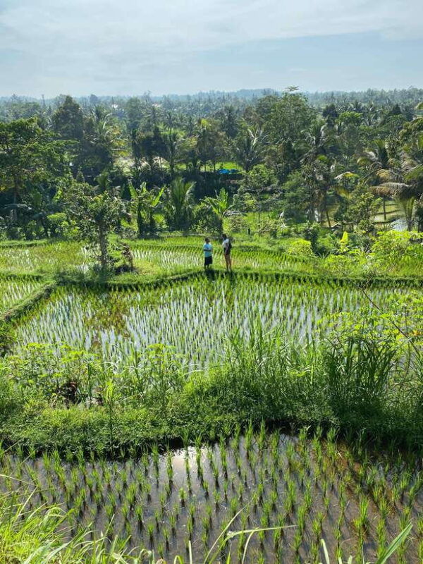 Lombok Hidden Gem - Who Will Love This Tour?