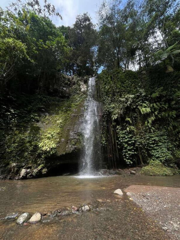 Lombok hidden waterfall, culture and village tour - Exploring the Waterfalls and Nature