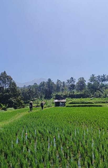 Lombok : hiking- rice terrace & waterfalls tour - Motorbiking and Return