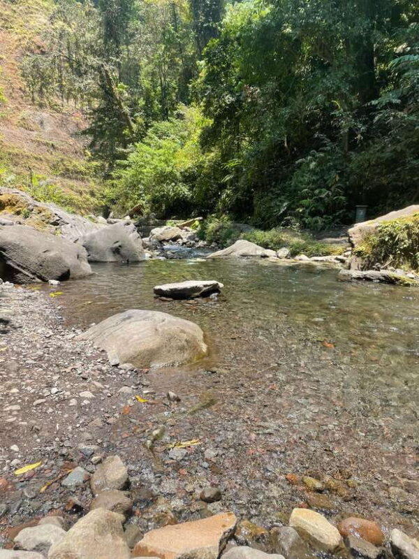 Lombok : hiking- rice terrace & waterfalls tour - Who Will Love This Tour?