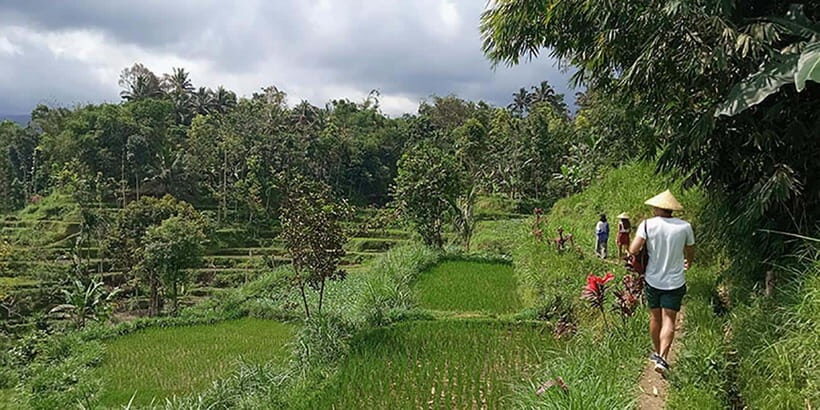 Lombok: Hiking Tour to Tete Batu Village - A Closer Look at the Tete Batu Hiking Tour