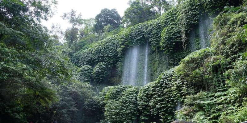 Lombok: Lombok Waterfall Adventure - Full Day - Key Points