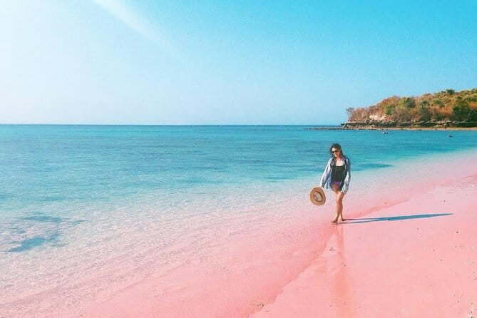 Lombok Pink Beach Island Hopping and Snorkeling Trip - Key Points