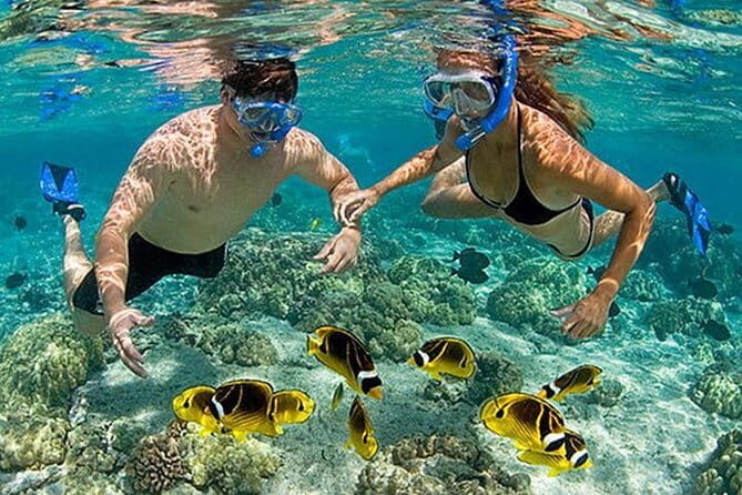 Lombok Pink Beach Island Hopping and Snorkeling Trip - FAQ