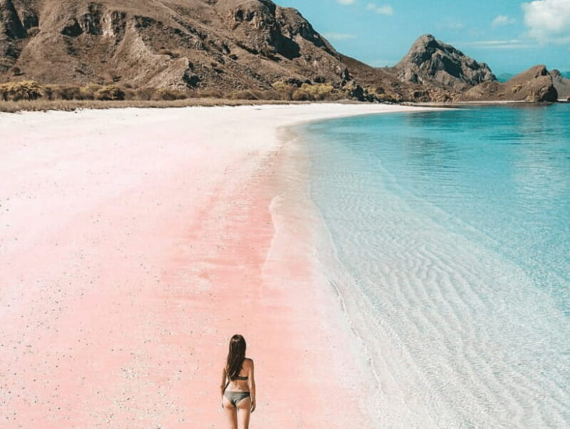 Lombok: Pink Beach Snorkeling and Picnic Tour Fullday - The Itinerary Breakdown: What Makes Each Stop Special
