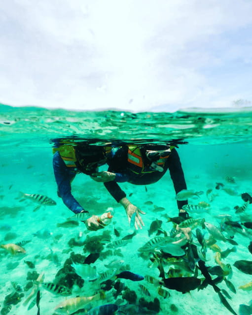 Lombok: Pink Beach Snorkeling and Picnic Tour Fullday - Authentic Experiences and Traveler Feedback