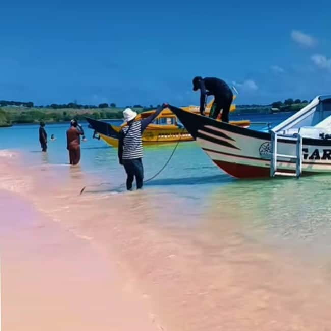 Lombok : Pink Beach Tour, Secret Gili and Snorkeling Tour - Who Is This Tour Best For?