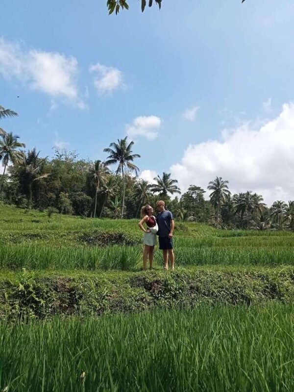 Lombok : Privat Tour Benang Kelambu Waterfall, Rice Terrace. - Key Points