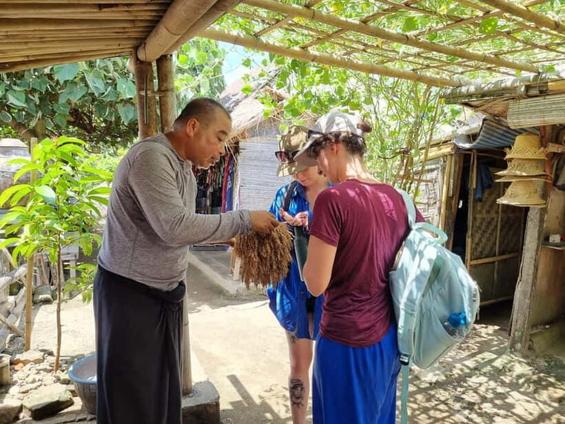Lombok: Private Customizable Tour with Driver-Guide - Key Points