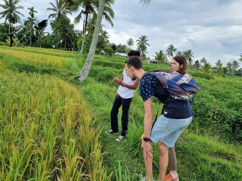 Lombok: Private Customizable Tour with Driver-Guide - Final Thoughts — Who Is This Tour Best For?
