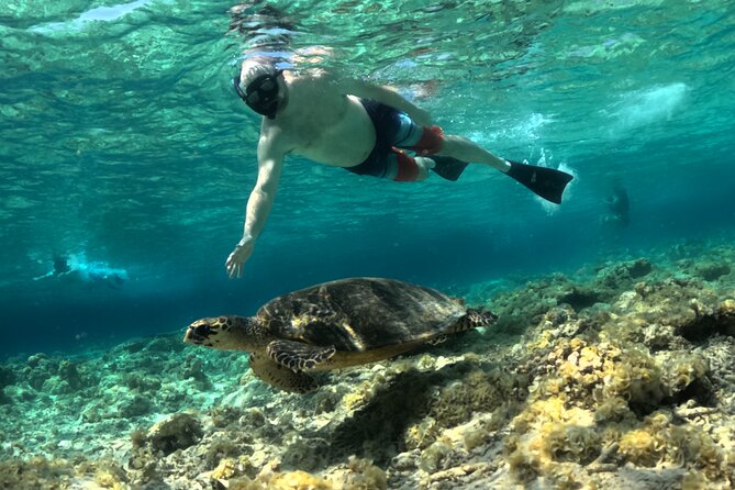 Lombok Private Customize Full Day Trip - Final Thoughts