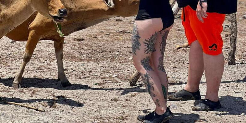 Lombok: Private day trip snorkeling in Secret Island - Final Thoughts