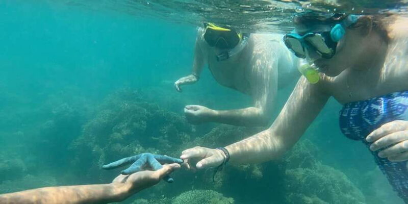 Lombok: Private day trip snorkeling in Secret Island - FAQs