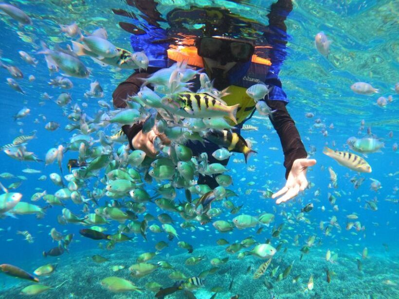 Lombok: Private Pink Beach & Gili Snorkeling Tour with GoPro - Introduction