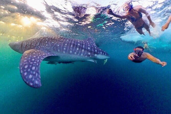 Lombok Private Tour-Car Hire With Full day Customize Trip - The Sum Up