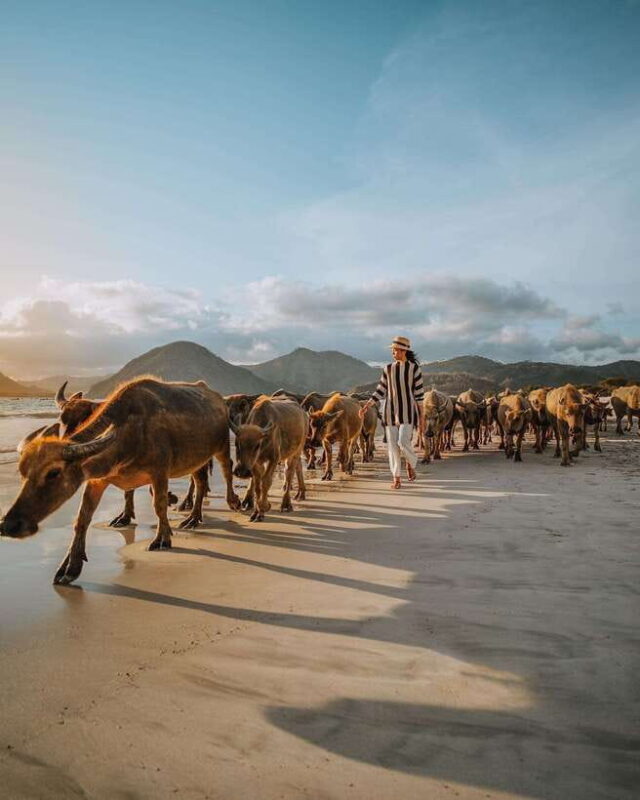 Lombok Private Tour: Surfing, Explore South Beach, & Sunset - FAQs