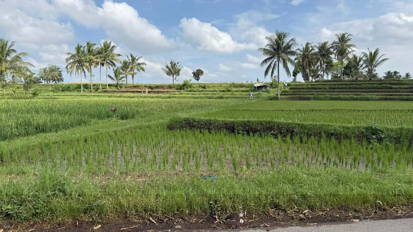 Lombok: Sasak Villages, Pottery and south beach Tour - Frequently Asked Questions