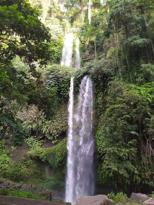 Lombok: Sendang Gila and Tiu Kelep Waterfalls Tour - Who Should Consider This Tour?