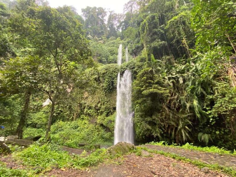 Lombok: Sendang Gile and Tiu Kelep Waterfalls Tour - Cost and Value